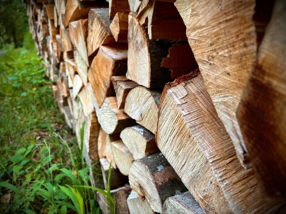 Brennholz Buchenholz Region Brugg, Preis pro Ster (Neu und originalverpackt) in Brugg AG für CHF ...