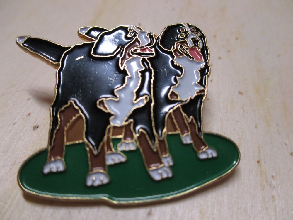 Bern Berner Sennen Hund Pin (Neu (gemäss Beschreibung)) in Felsberg für ...