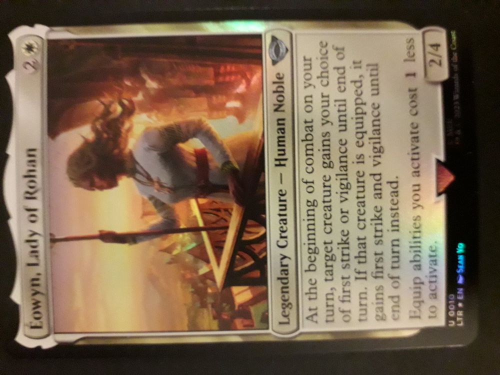 MTG - Foil "Eowyn, Lady of Rohan" (Gebraucht) in Lausanne für CHF 0.3 ...