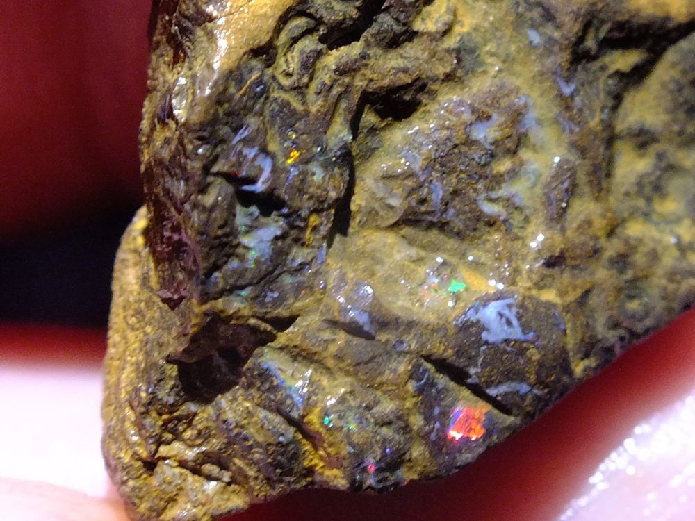 BOULDER ROH OPAL 42.50 Karat Gebot 1.- Elektrisch Rot feuer (Neu und ...