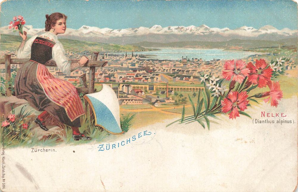 Zurich litho (Gebraucht) in Biasca für CHF 7 – mit Lieferung auf Ricardo kaufen