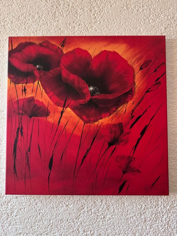 Mohnblumen Gemälde, Acryl Leinwandbild, rot, modern, 50x50 | Kaufen auf Ricardo