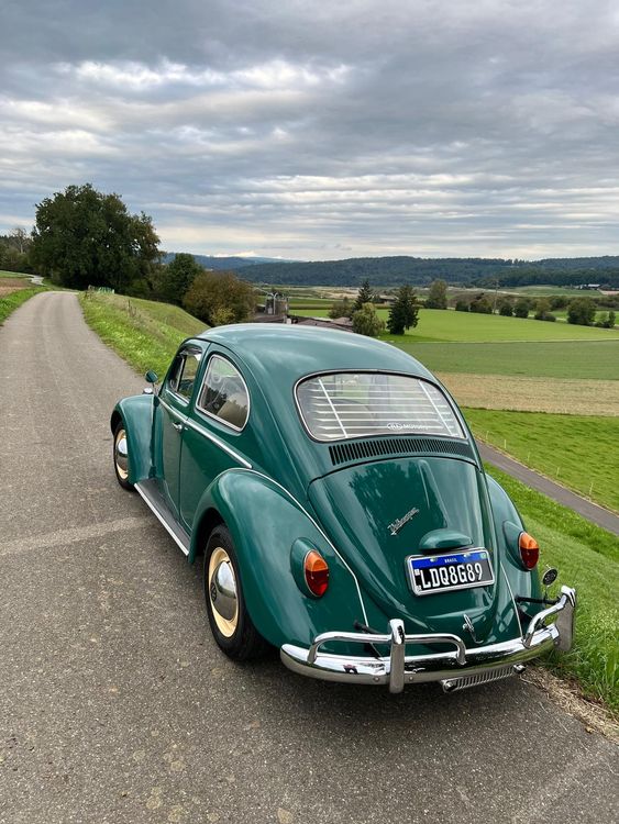 VW Käfer, Top Zustand, Jahrgang 1966 (Gebraucht) in Hüttikon für CHF ...