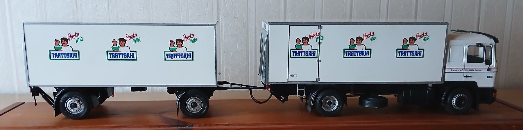 LKW Modell im Masstab 1:25 (Neu (gemäss Beschreibung)) in Huttwil für ...