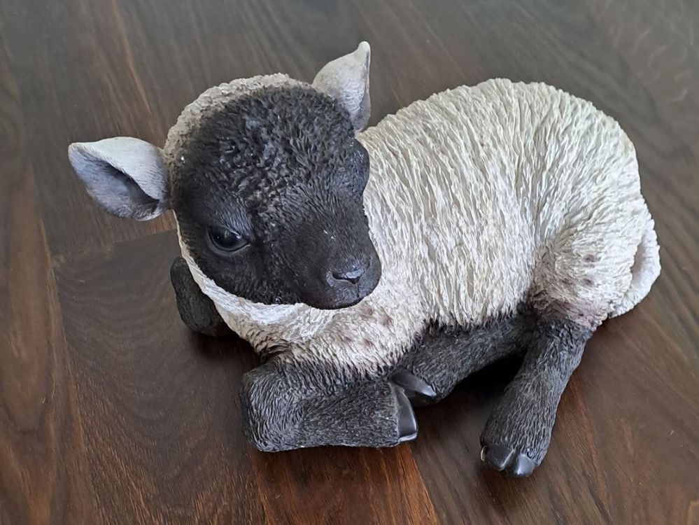 Deko Lamm | Kaufen auf Ricardo