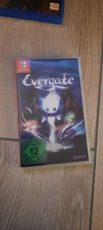 Evergate Nintendo Switch | Kaufen auf Ricardo