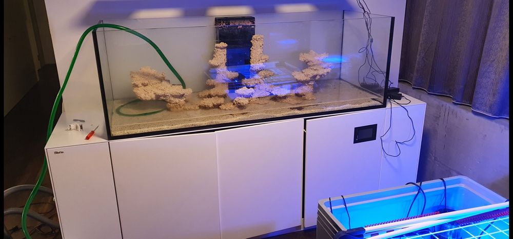 Meerwasser Aquarium Red Sea 750 xxl, mit Unterschrank (Gebraucht) in ...