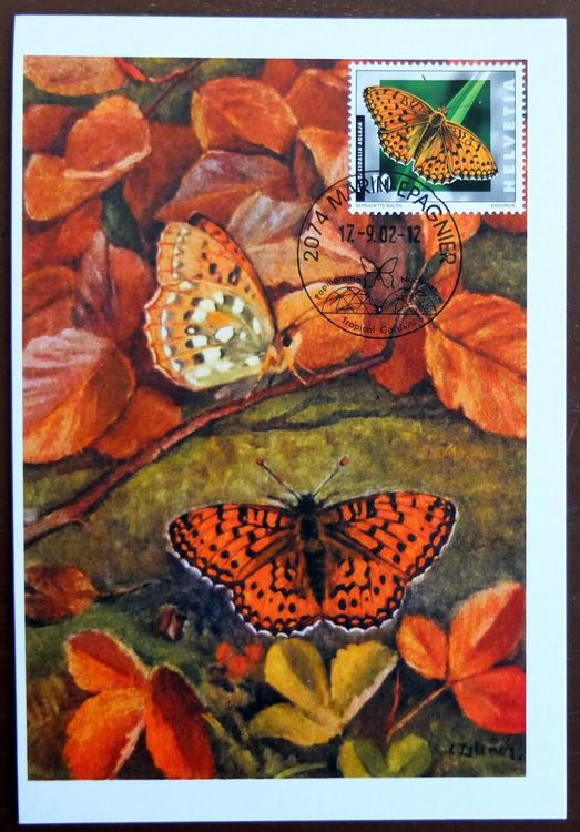 Maximumkarte Schmetterling papillon 2002 | Kaufen auf Ricardo