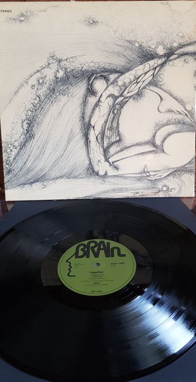 Vinyl Schallplatte Jane Together 1972 (Gebraucht) in Bertschikon Gossau ...