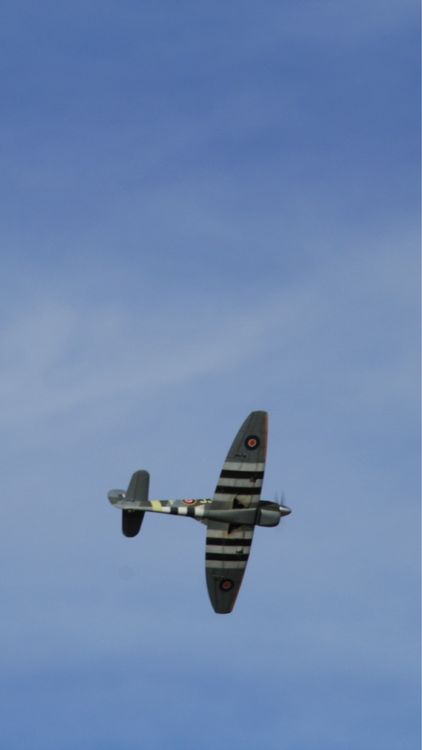 RBC Kits Hawker Tempest 1500mm (Gebraucht) in Zollikofen für CHF 320 ...