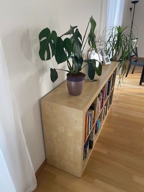 Ikea Bucherregal Holz