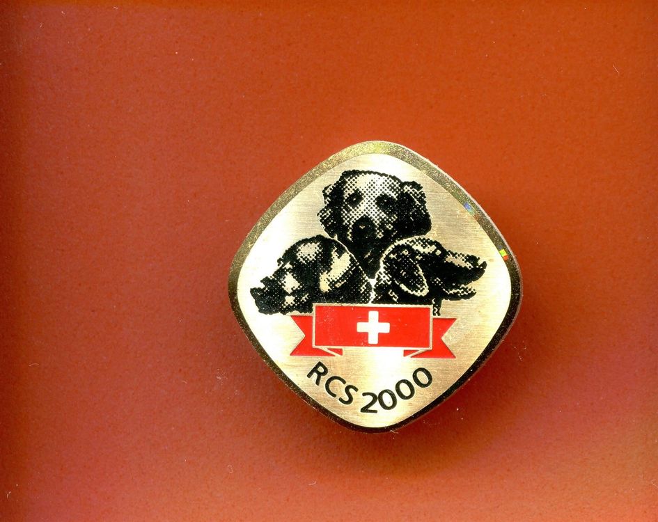 RCS 2000 | Kaufen auf Ricardo