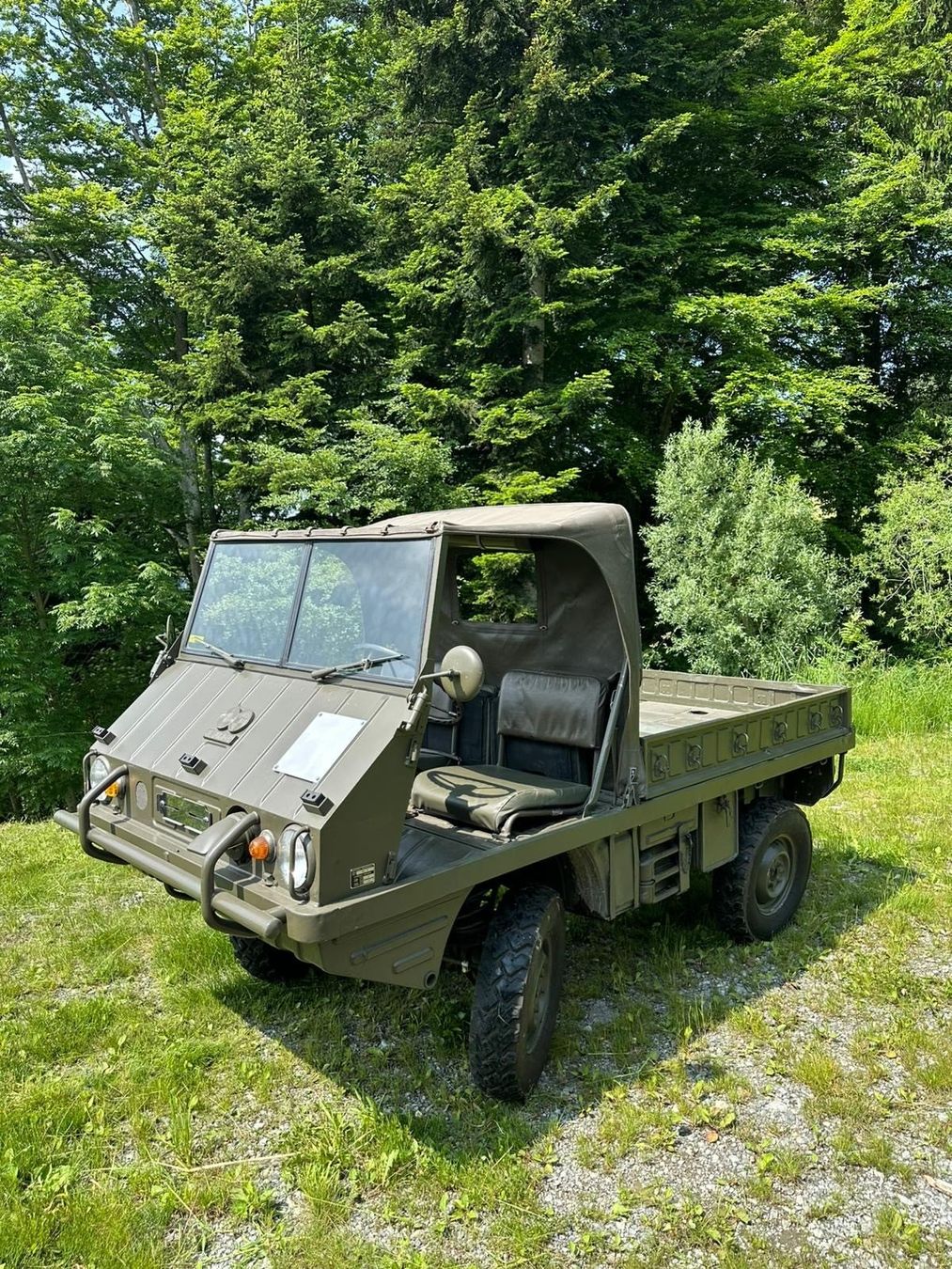 Puch Haflinger (Gebraucht) in Rehetobel für CHF 22000 – nur Abholung auf Ricardo kaufen