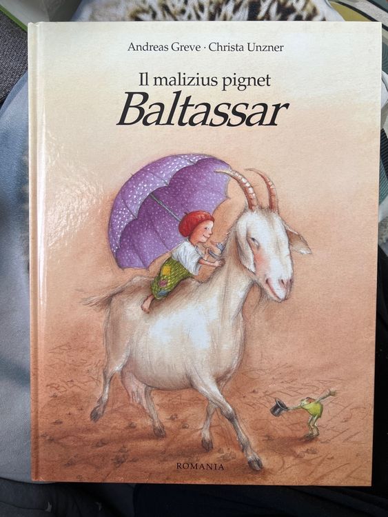 Bilderbuch auf Romanisch: Il malizius pignet Baltassar | Kaufen auf Ricardo