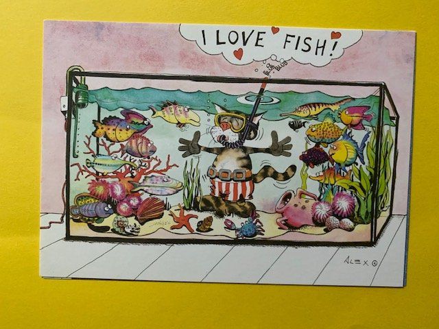 I Love Fish Chat dans un Aquarium dessin d'Alex (Gebraucht) in St-Prex ...