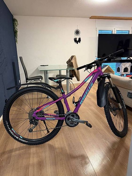 WHEELER BIKE WIE NEU (Gebraucht) in Zweilütschinen für CHF 300 – nur ...