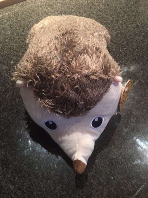 Igel Laura Kuscheldecke Coop Sammelaktion (Neu (gemäss Beschreibung ...