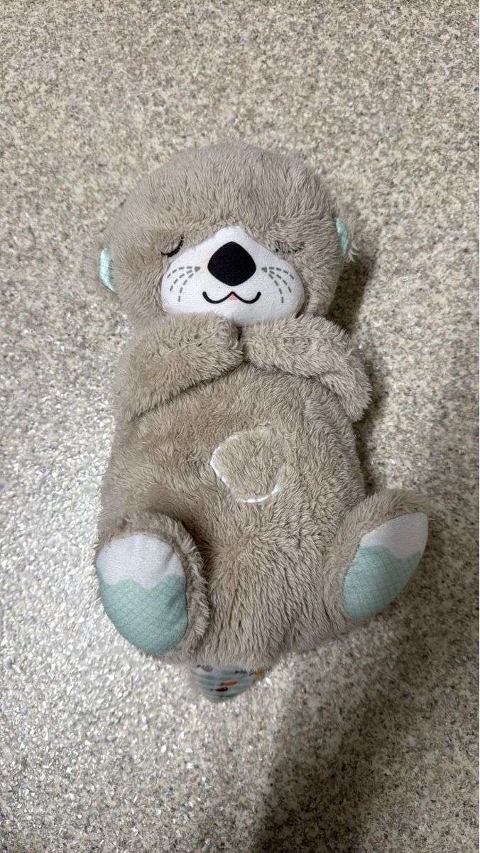 Fisherprice Schlummer Otter mit Bewegung und Geräuschen (Gebraucht) in ...