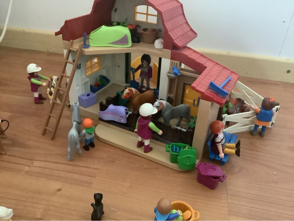 Playmobil Country Pony Farm 5684 mit zusätzlichen Tieren (Gebraucht) in ...