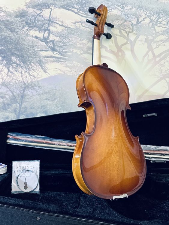 Violine 4/4 Neue Komplettset (Neu und originalverpackt) in Kirchberg SG ...