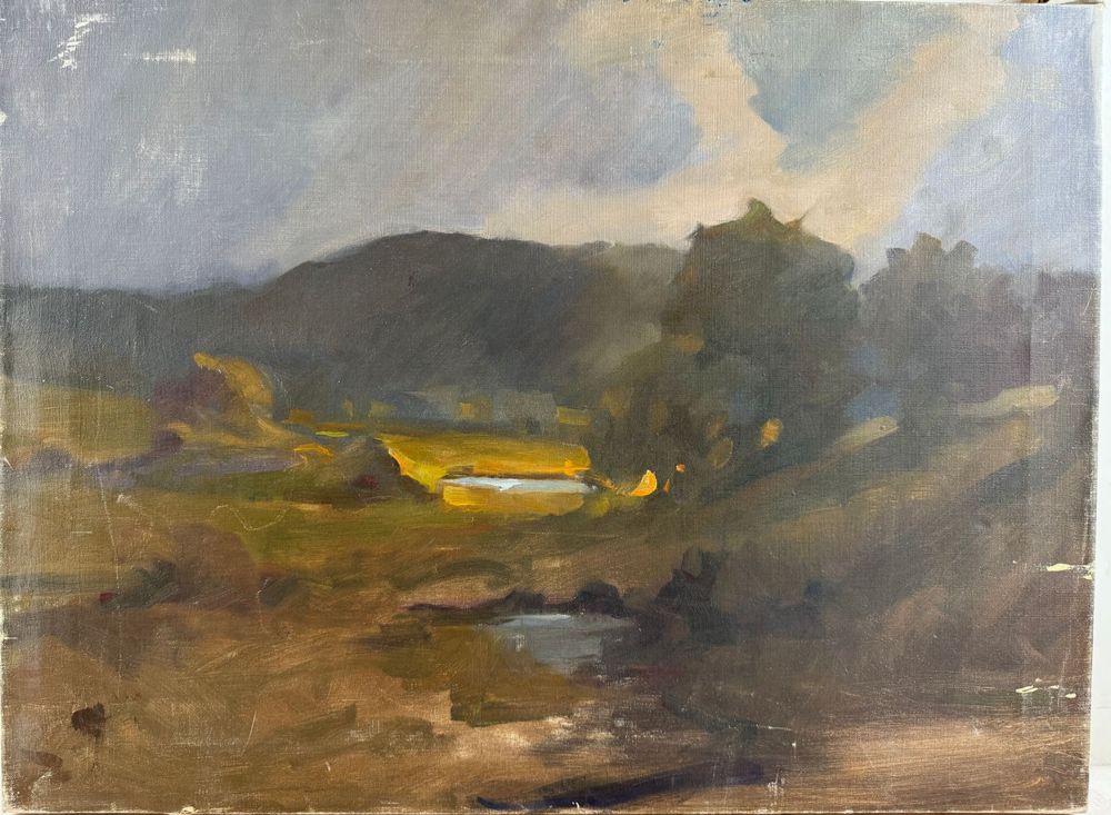 Grosser Landschaft Gemälde (Gebraucht) in Neuhausen am Rheinfall für CHF 10 – mit Lieferung auf ...