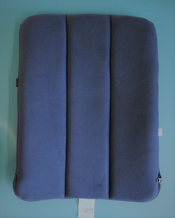 SISSEL - Ergonomischer Sitz für den Salon oder das Auto (Neu und ...