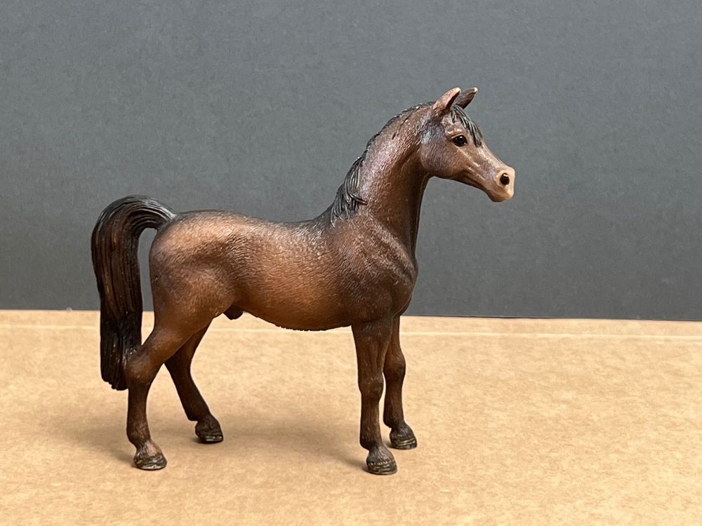 Schleich Araber Hengst 13629 Pferd (Gebraucht) in Ennetbaden für CHF 12 – mit Lieferung auf ...