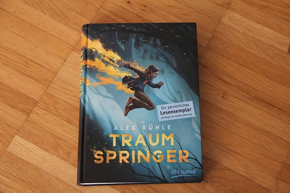 Traumspringer von Alex Rühle - Abenteuergeschichte ab 10 J. (Gebraucht ...