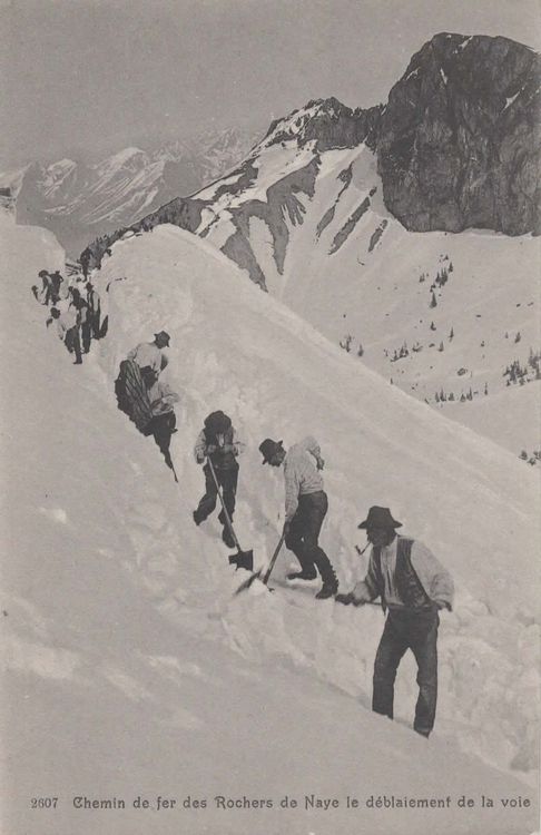 Rochers de Naye | Kaufen auf Ricardo