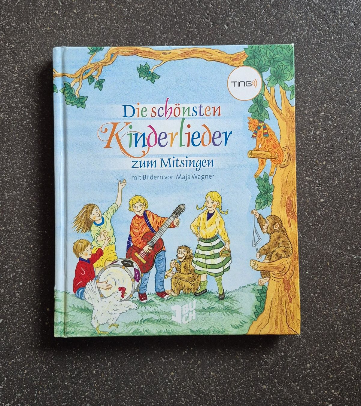 Buch - Die schönsten Kinderlieder zum Mitsingen (Gebraucht) in St. Gallen für CHF 4 – mit ...