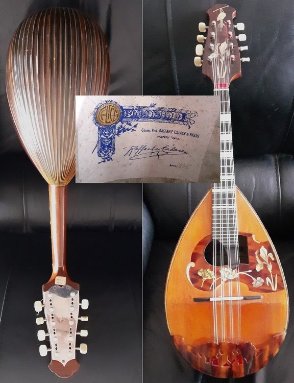 Mandolino R.CALACE 1975 incl. Fodero BELLISSIMO (Gebraucht) in Locarno ...
