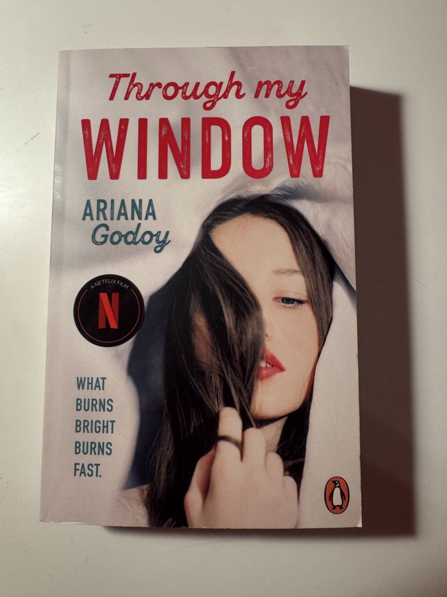 Roman Englisch "Through my window" von Ariana Godoy (Gebraucht) in St ...