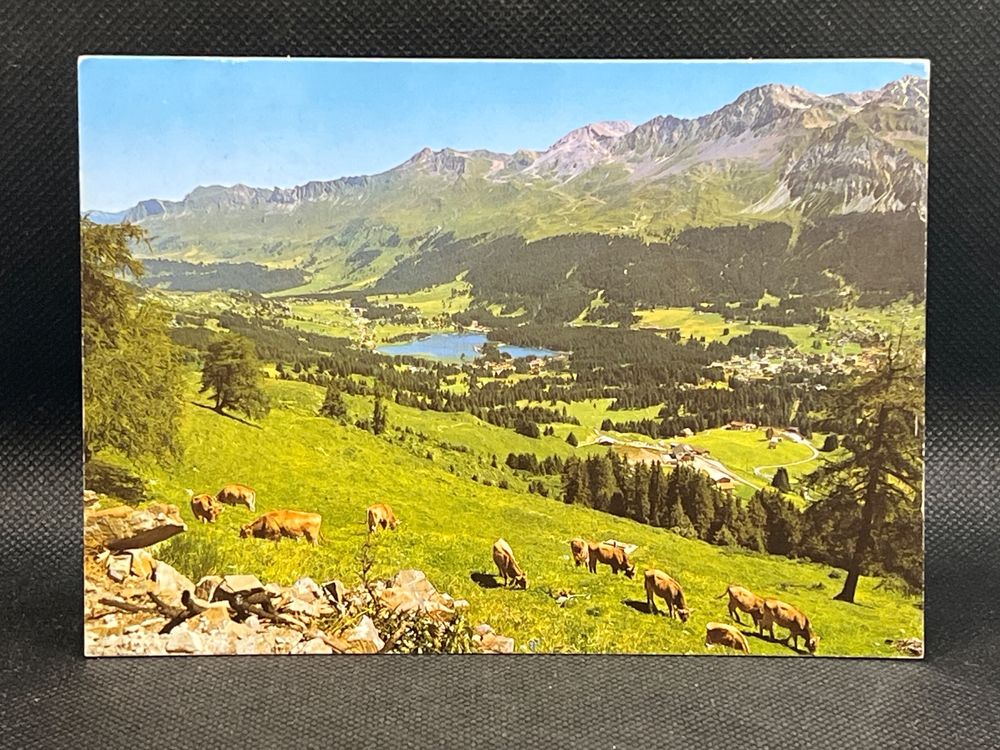 Lenzerheide Valbella, Gesamtansicht mit Rothorn-Kette (Gebraucht) in Widnau für CHF 1 – mit ...