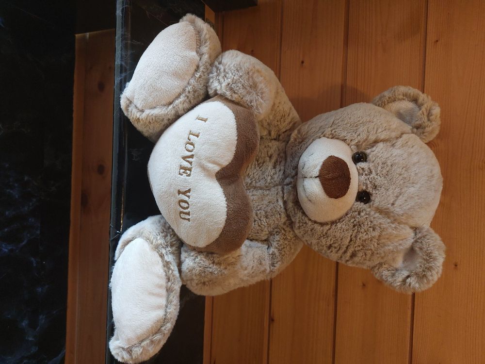 Teddy mit I love you Schriftzug (Gebraucht) in Brienzwiler für CHF 3 ...
