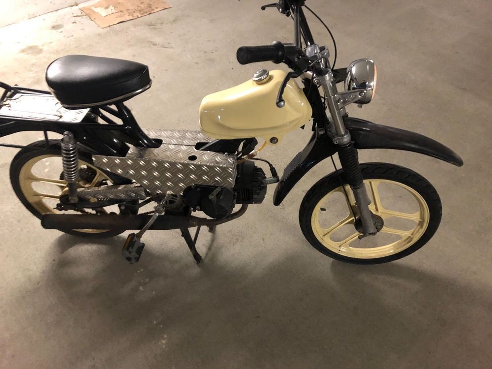 Pony Cilo 521 | Acheter sur Ricardo