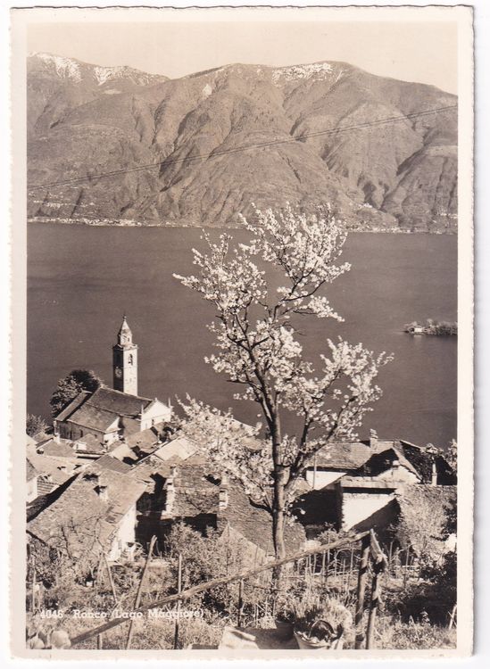 Ronco (Laggo magiore) (Gebraucht) in Cormoret für CHF 1 – mit Lieferung auf Ricardo kaufen