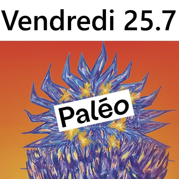 2 x billets Paléo Festival 2025 vendredi 25 juillet 2025 (Gebraucht) in ...