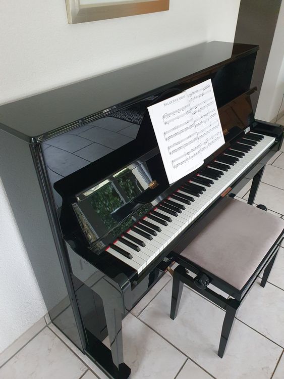 Petrof Klavier P118 P1 (Gebraucht) in Reinach BL für CHF 1600 – mit ...
