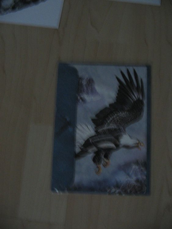 Postkarte mit Text und Brief mit Adlermotiv (Neu (gemäss Beschreibung ...