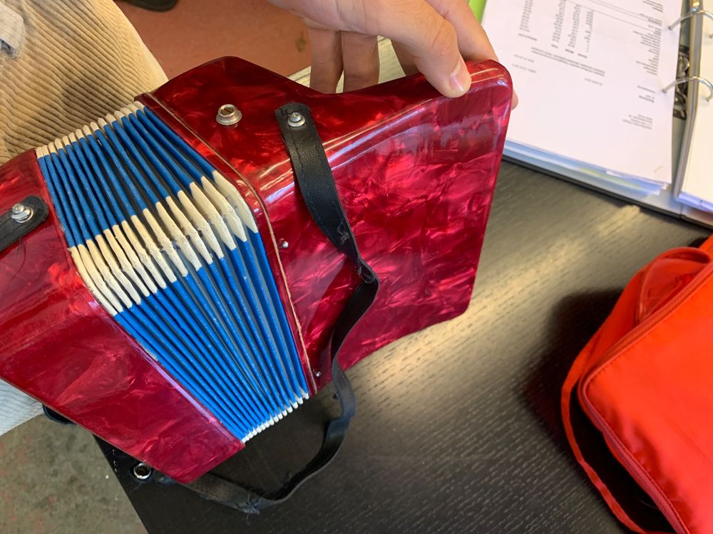 Hohner Mini Akkordeon | Kaufen auf Ricardo
