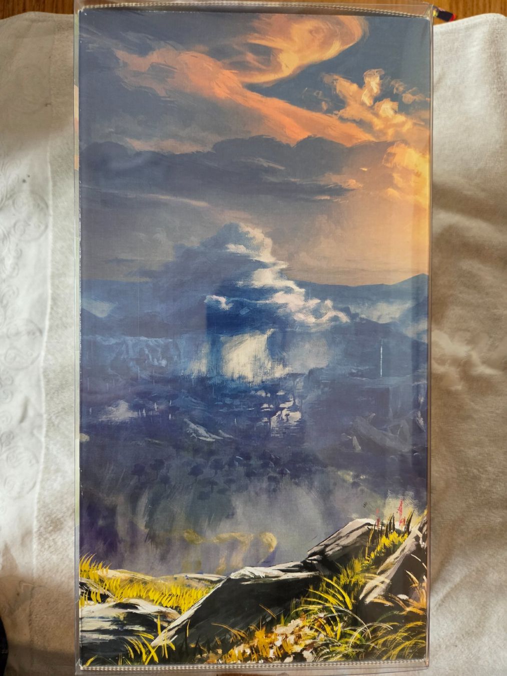 Zelda Breath of the Wild Limited Edition - Nintendo Switch (Gebraucht ...