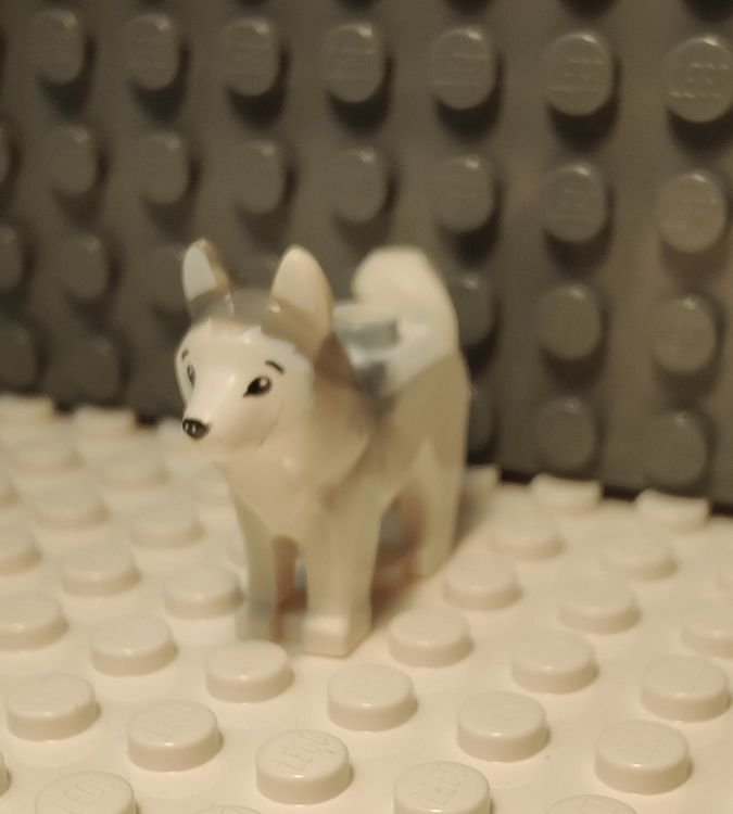 LEGO, Husky, Hund, 16606pb001, gebraucht | Kaufen auf Ricardo