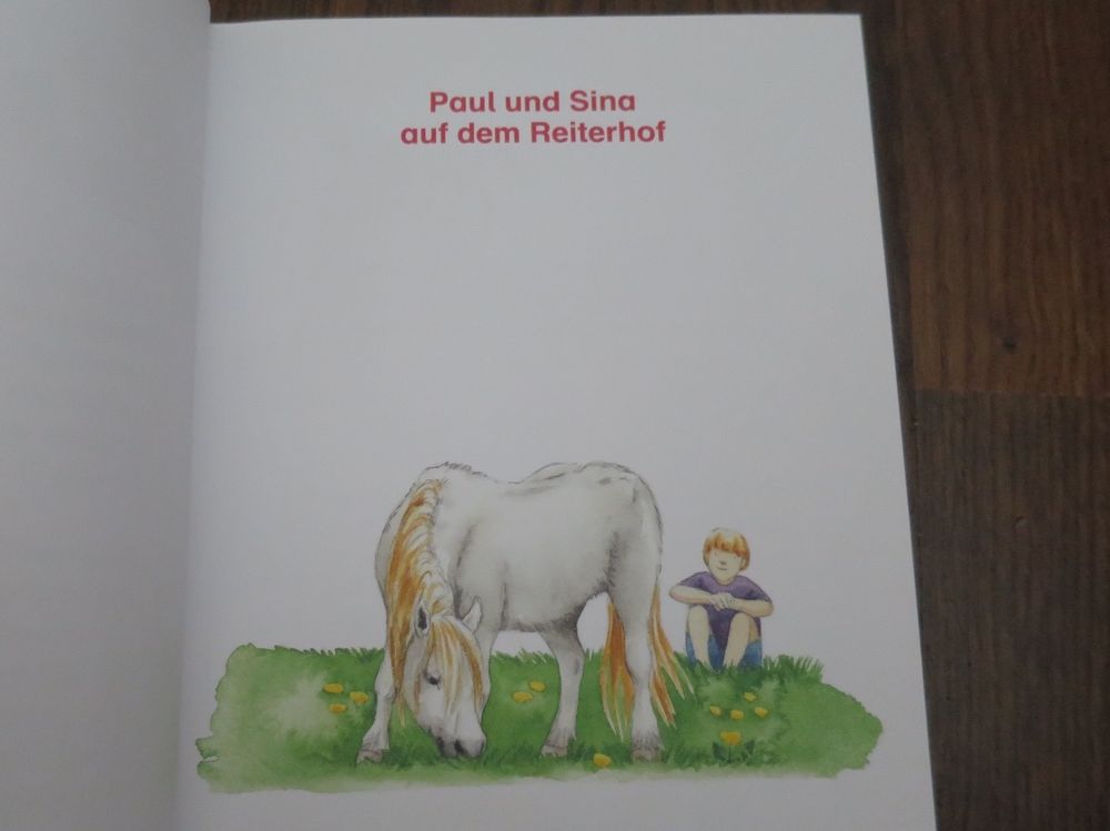 Kinderbuch lesen Buch Kind Bücherbär Reiterhofgeschichten 7+ (D ...