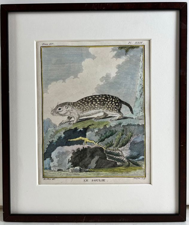 Original Handkolorierter Kupferstich um 1780 | Kaufen auf Ricardo