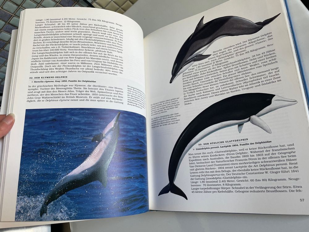 Bildband "Die Welt der Delphine" und Mach's gut Flipper (Gebraucht) in ...