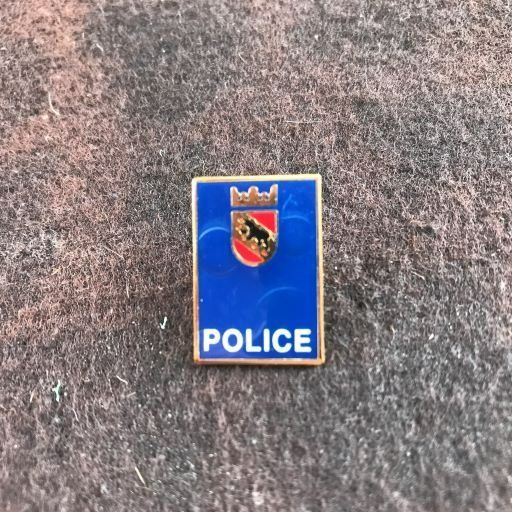 PIN POLIZEI BERN GRADABZEICHEN | Kaufen auf Ricardo