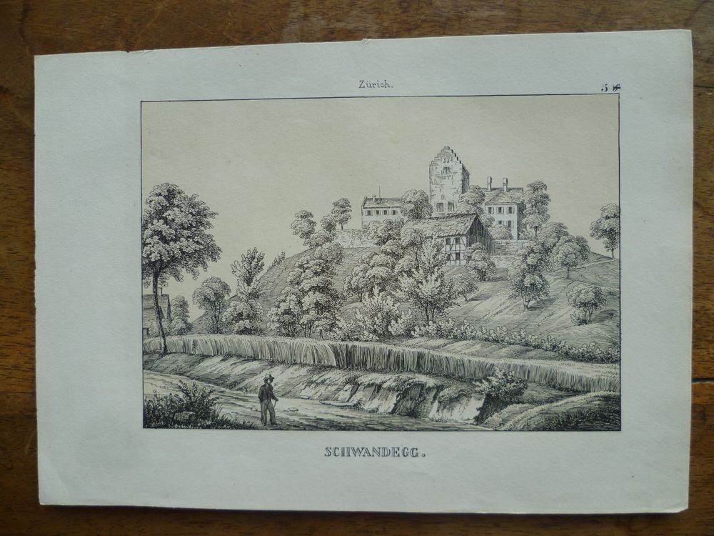 SCHWANDEGG ZURICH (Neu (gemäss Beschreibung)) in Bevaix für CHF 15 – mit Lieferung auf Ricardo ...