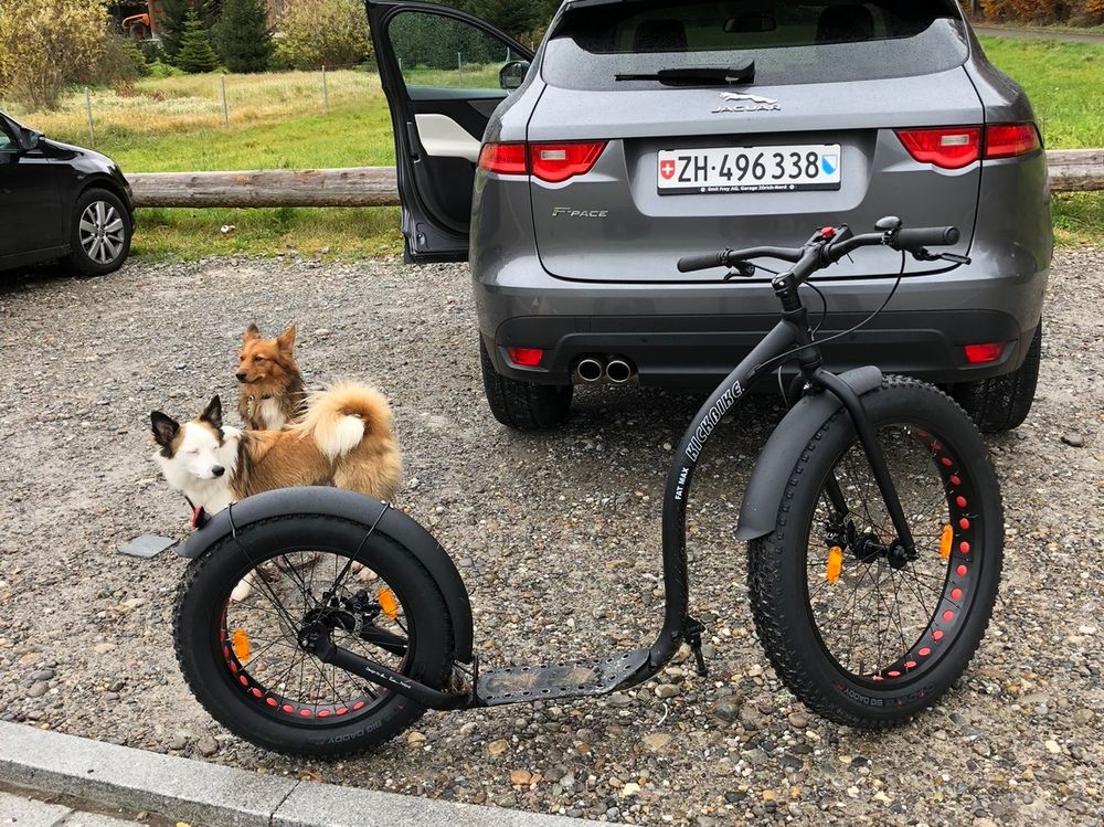 KickBike Tretroller FatMax (Gebraucht) in Wollerau für CHF 150 – nur ...
