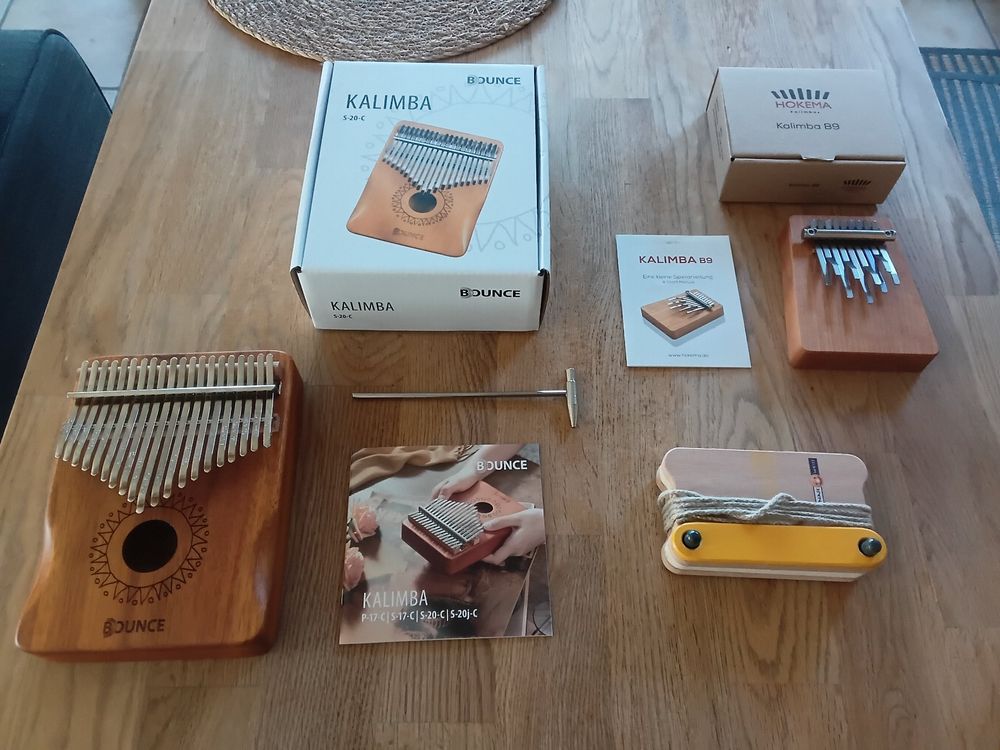 2 Kalimbas und eine Blätterpresse | Kaufen auf Ricardo