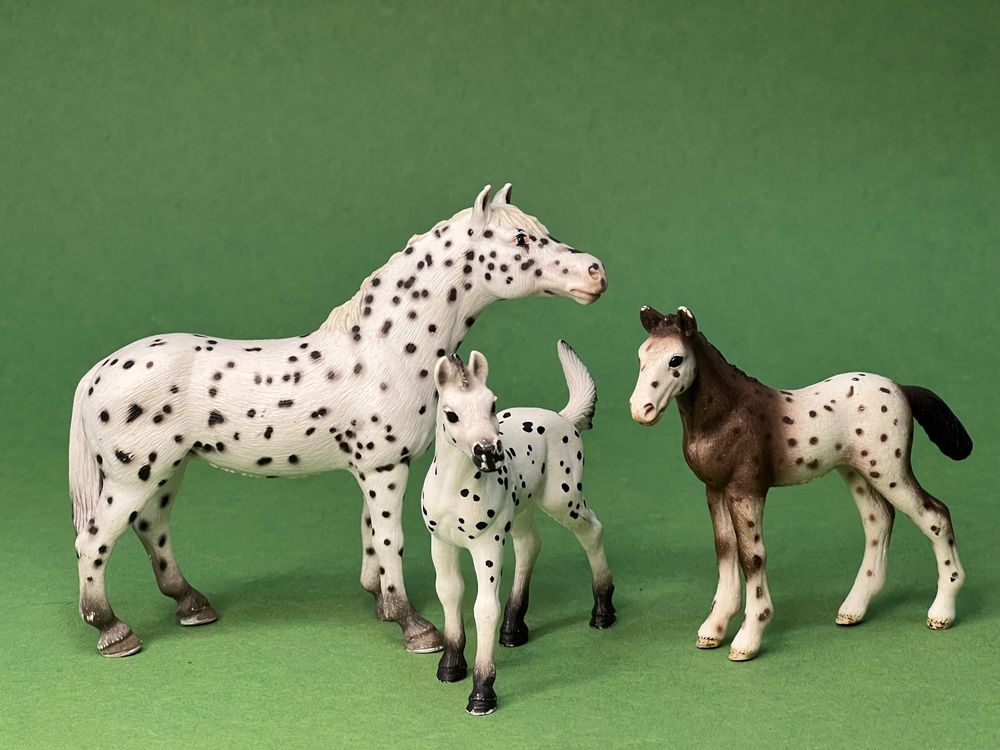 Schleich Knabstrupper Stute Pferd Fohlen (Gebraucht) in Ennetbaden für CHF 18 – mit Lieferung ...